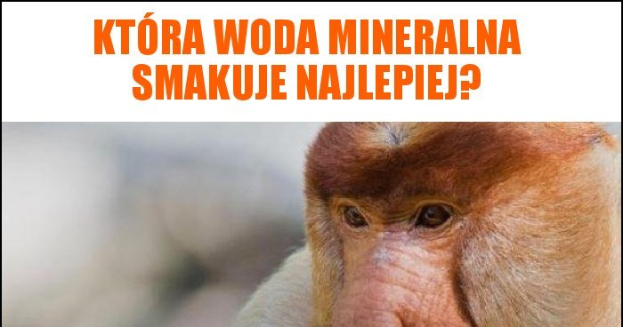 Która woda mineralna smakuje najlepiej? memy, gify i śmieszne obrazki ...