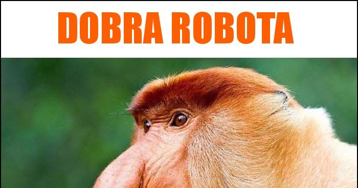 DOBRA ROBOTA memy, gify i śmieszne obrazki facebook, tapety, demotywatory zdjęcia