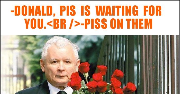 -Donald, PiS is waiting for You. -Piss on them memy, gify i śmieszne ...