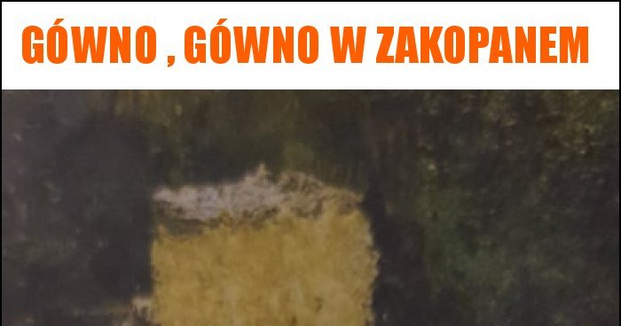 gówno , gówno w zakopanem memy, gify i śmieszne obrazki facebook ...