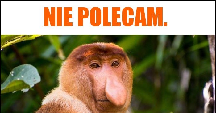 Nie polecam. memy, gify i śmieszne obrazki facebook, tapety ...