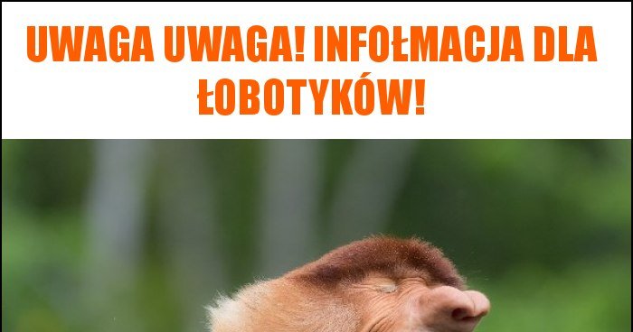 UWAGA UWAGA! Infołmacja dla łobotyków! memy, gify i śmieszne obrazki ...