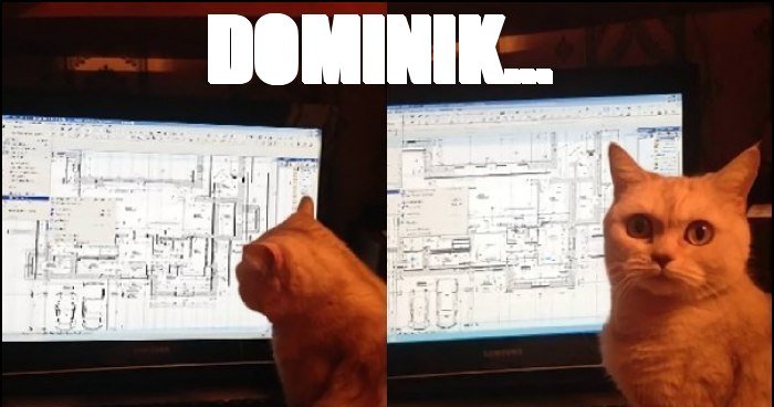 Dominik... memy, gify i śmieszne obrazki facebook, tapety, demotywatory ...