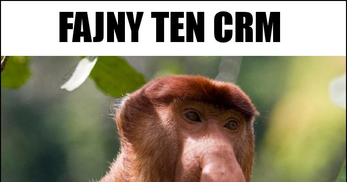 Fajny ten CRM memy, gify i śmieszne obrazki facebook, tapety ...