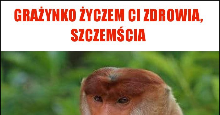 Grażynko życzem Ci zdrowia, szczemścia memy, gify i śmieszne obrazki ...