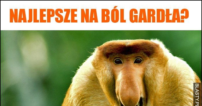 Najlepsze na ból gardła? memy, gify i śmieszne obrazki facebook, tapety ...