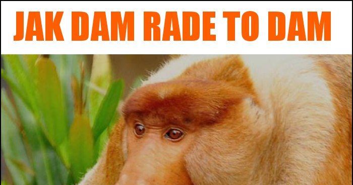 JAK DAM RADE TO DAM memy, gify i śmieszne obrazki facebook, tapety ...