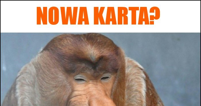 Nowa karta? memy, gify i śmieszne obrazki facebook, tapety ...