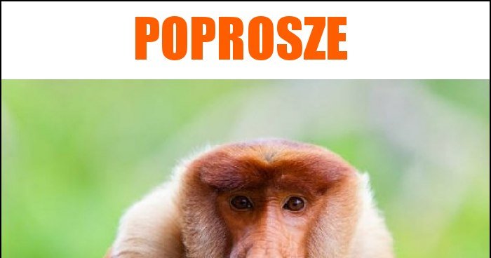 POPROSZE memy, gify i śmieszne obrazki facebook, tapety, demotywatory ...