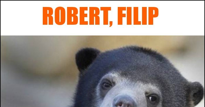 Robert, Filip memy, gify i śmieszne obrazki facebook, tapety ...