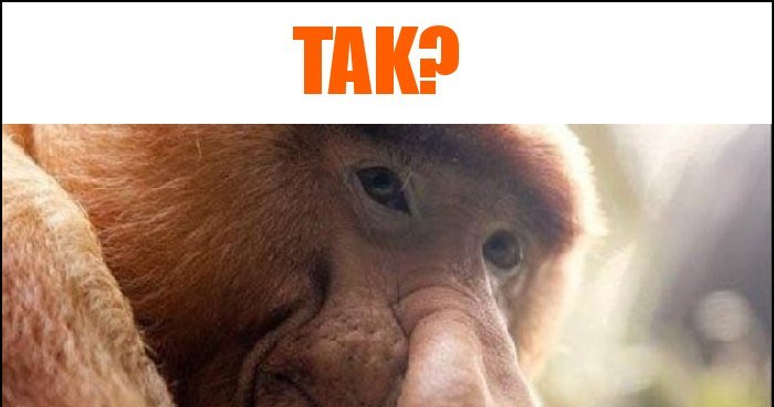 Tak? memy, gify i śmieszne obrazki facebook, tapety, demotywatory zdjęcia