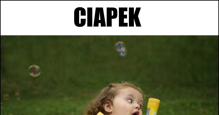 Ciapek memy, gify i śmieszne obrazki facebook, tapety, demotywatory zdjęcia