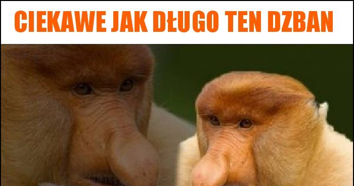 Ciekawe jak długo ten dzban memy, gify i śmieszne obrazki facebook ...