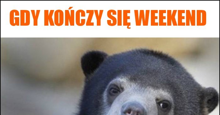 Gdy kończy się weekend memy, gify i śmieszne obrazki facebook, tapety ...