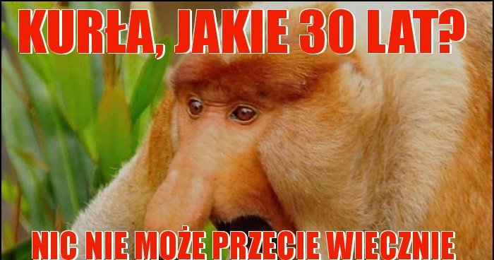 Kurła, jakie 30 lat? memy, gify i śmieszne obrazki facebook, tapety ...