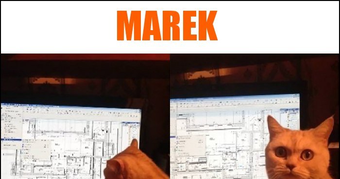 MAREK memy, gify i śmieszne obrazki facebook, tapety, demotywatory zdjęcia