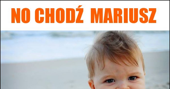 No chodź Mariusz memy, gify i śmieszne obrazki facebook, tapety ...