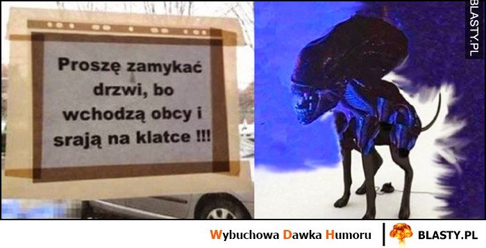 Proszę zamykać drzwi bo wchodzą obcy i srają na klatce Alien memy, gify ...