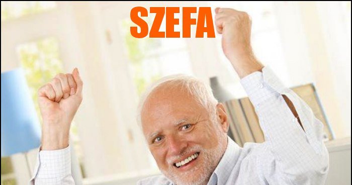Szefa memy, gify i śmieszne obrazki facebook, tapety, demotywatory zdjęcia