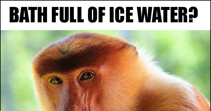 Bath full of ICE water? memy, gify i śmieszne obrazki facebook, tapety ...