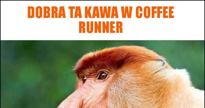 Dobra ta kawa w Coffee Runner memy, gify i śmieszne obrazki facebook ...