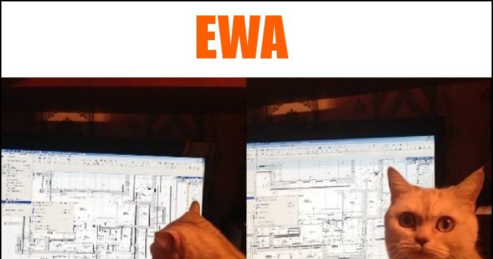 EWA memy, gify i śmieszne obrazki facebook, tapety, demotywatory zdjęcia