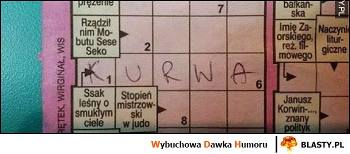 Krzyżówka hasło: ssak leśny o smukłym ciele, odpowiedź kurna memy, gify ...
