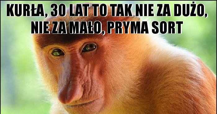 kurła, 30 lat to tak nie za dużo, nie za mało, pryma sort memy, gify i ...