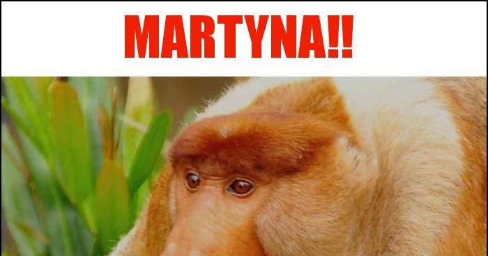 Martyna!! memy, gify i śmieszne obrazki facebook, tapety, demotywatory ...