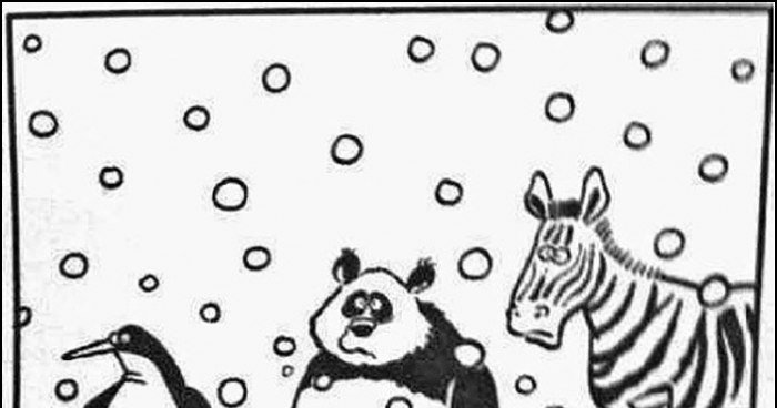 Pokoloruj obrazek pingwin, zebra, panda - same czarno białe memy, gify ...