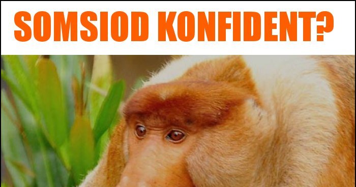 SOMsiod konfident? memy, gify i śmieszne obrazki facebook, tapety ...