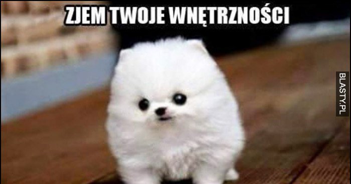 Zjem Twoje wnętrzności i Twoją duszę pies piesek memy, gify i śmieszne ...