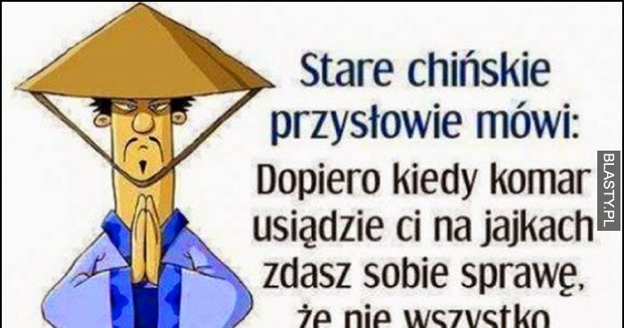 Chińskie przysłowie: dopiero kiedy komar usiądzie Ci na jajkach zdasz ...