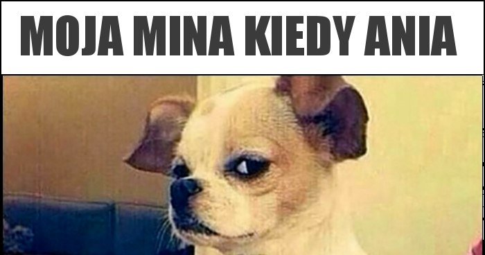 Moja mina kiedy Ania memy, gify i śmieszne obrazki facebook, tapety ...