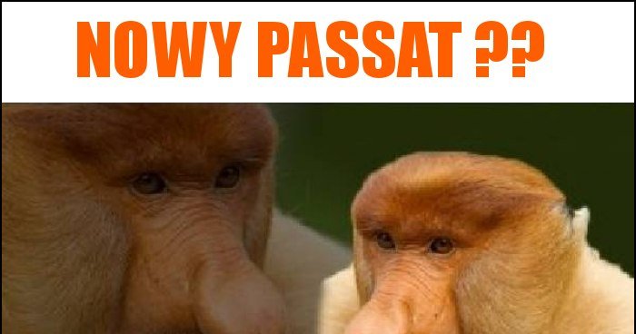 Nowy Passat ?? memy, gify i śmieszne obrazki facebook, tapety ...