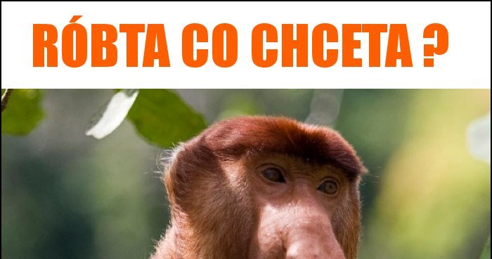 RÓBTA CO CHCETA ? memy, gify i śmieszne obrazki facebook, tapety ...