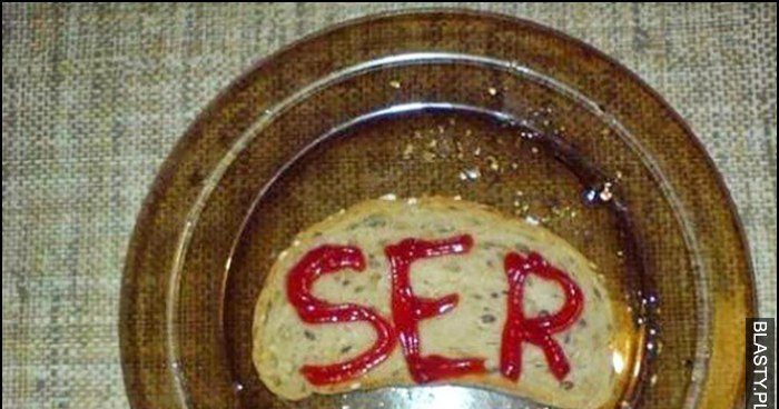 Ser napis keczupem - kanapka studencka z serem i ketchupem memy, gify i ...