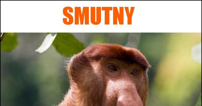 smutny memy, gify i śmieszne obrazki facebook, tapety, demotywatory zdjęcia