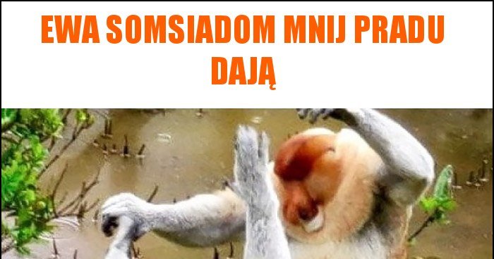 Ewa somsiadom mnij pradu dają memy, gify i śmieszne obrazki facebook ...