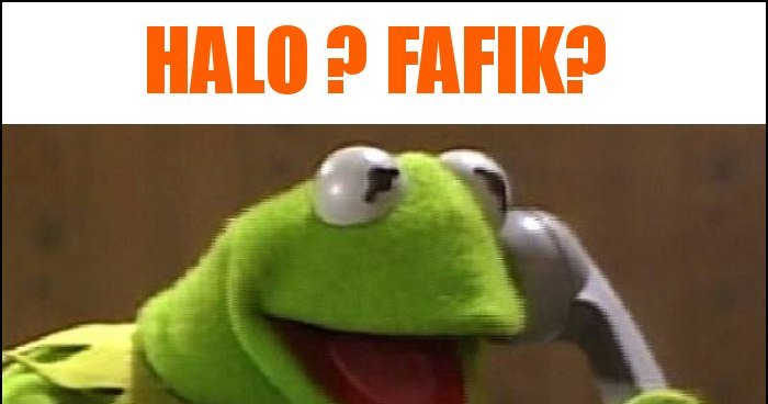Halo ? Fafik? memy, gify i śmieszne obrazki facebook, tapety ...