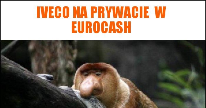 Iveco na prywacie w Eurocash memy, gify i śmieszne obrazki facebook ...