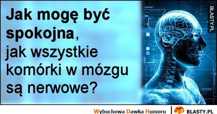 Jak mogę być spokojna, jak wszystkie komórki w mózgu są nerwowe? memy ...