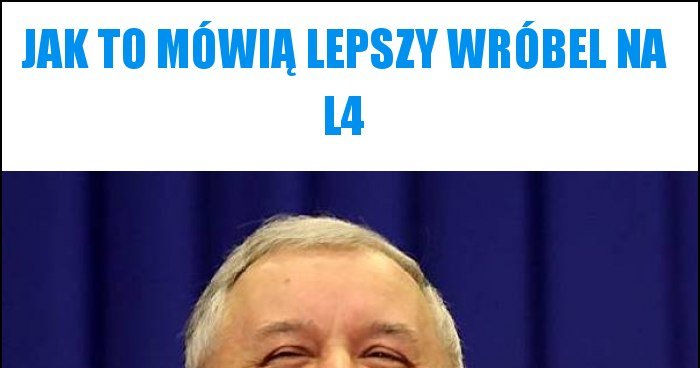 Jak to mówią lepszy Wróbel na L4 memy, gify i śmieszne obrazki facebook ...