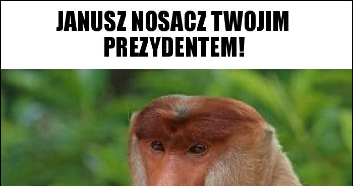 Janusz nosacz twojim prezydentem! memy, gify i śmieszne obrazki ...