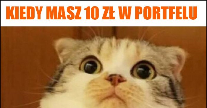 Kiedy masz 10 zł w portfelu memy, gify i śmieszne obrazki facebook ...