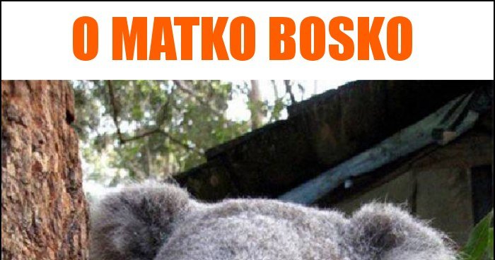 O Matko Bosko memy, gify i śmieszne obrazki facebook, tapety ...