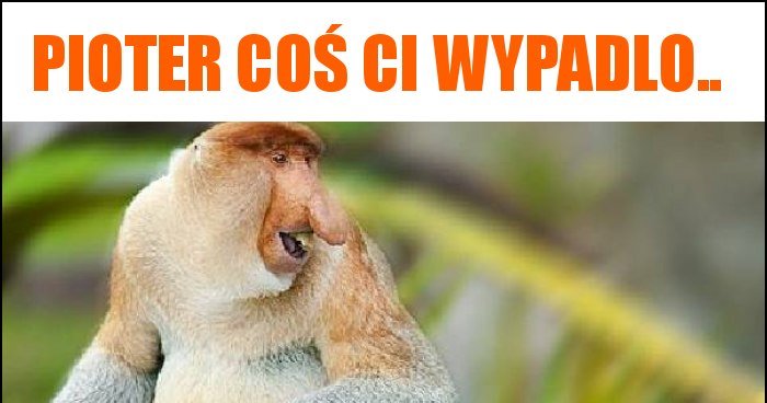 Pioter coś Ci wypadlo.. memy, gify i śmieszne obrazki facebook, tapety ...