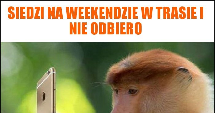 Siedzi na weekendzie w trasie i nie odbiero memy, gify i śmieszne ...