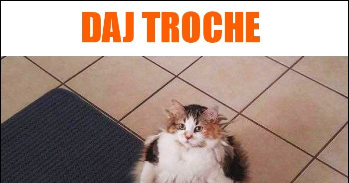 Daj troche memy, gify i śmieszne obrazki facebook, tapety, demotywatory ...