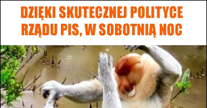 Dzięki skutecznej polityce rządu PiS, w sobotnią noc memy, gify i ...
